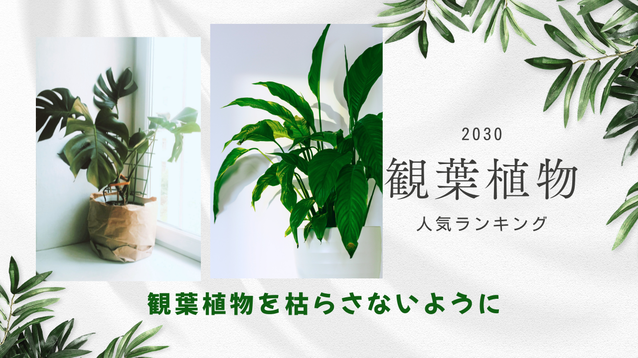 家の乾燥注意報！空気が異常に乾燥してます | 一級建築士と共に創る家族の未来！家族の笑顔をデザインする長野県須坂市の八田建設一級建築士と共に創る家族の未来！家族の笑顔をデザインする長野県須坂市 ...